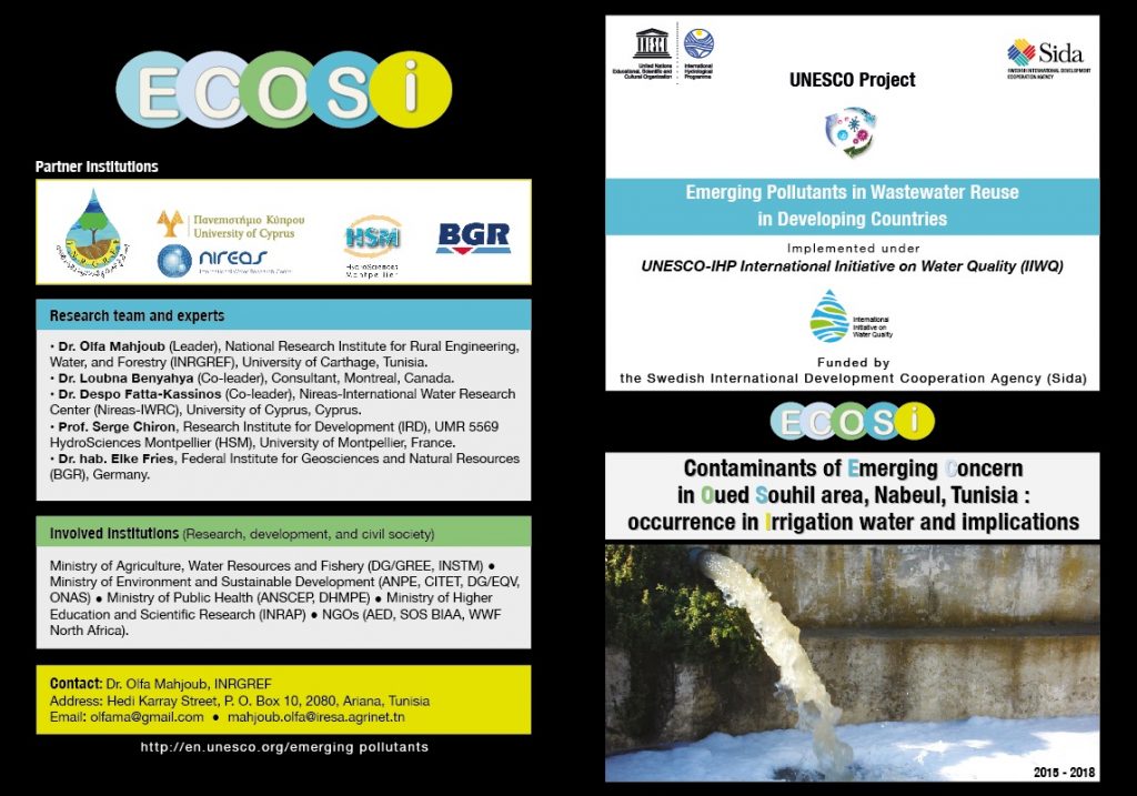 ECOSI Project Flyer - Nireas